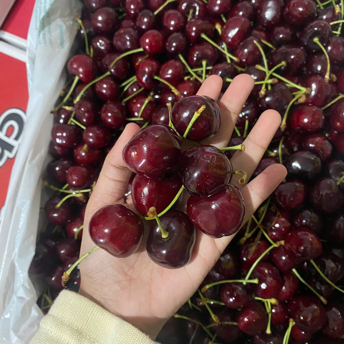 ( ️ Air Flown) 1 Pack x USA Cherry [1KG/Bag] – MBG Fruit Shop