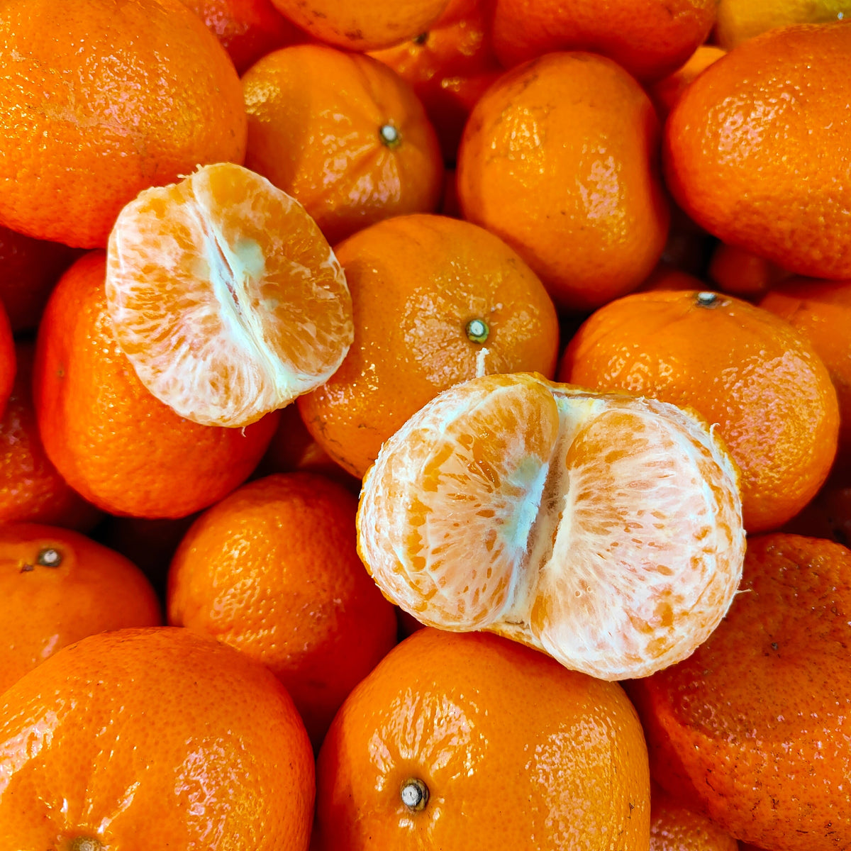 Australia Honey Murcot (M) [4 Pcs] – MBG Fruit Shop