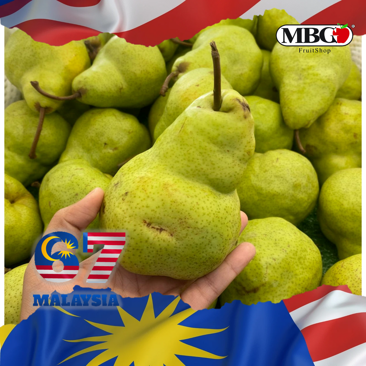China Packham Pear (XL) [3 Pcs] – MBG Fruit Shop