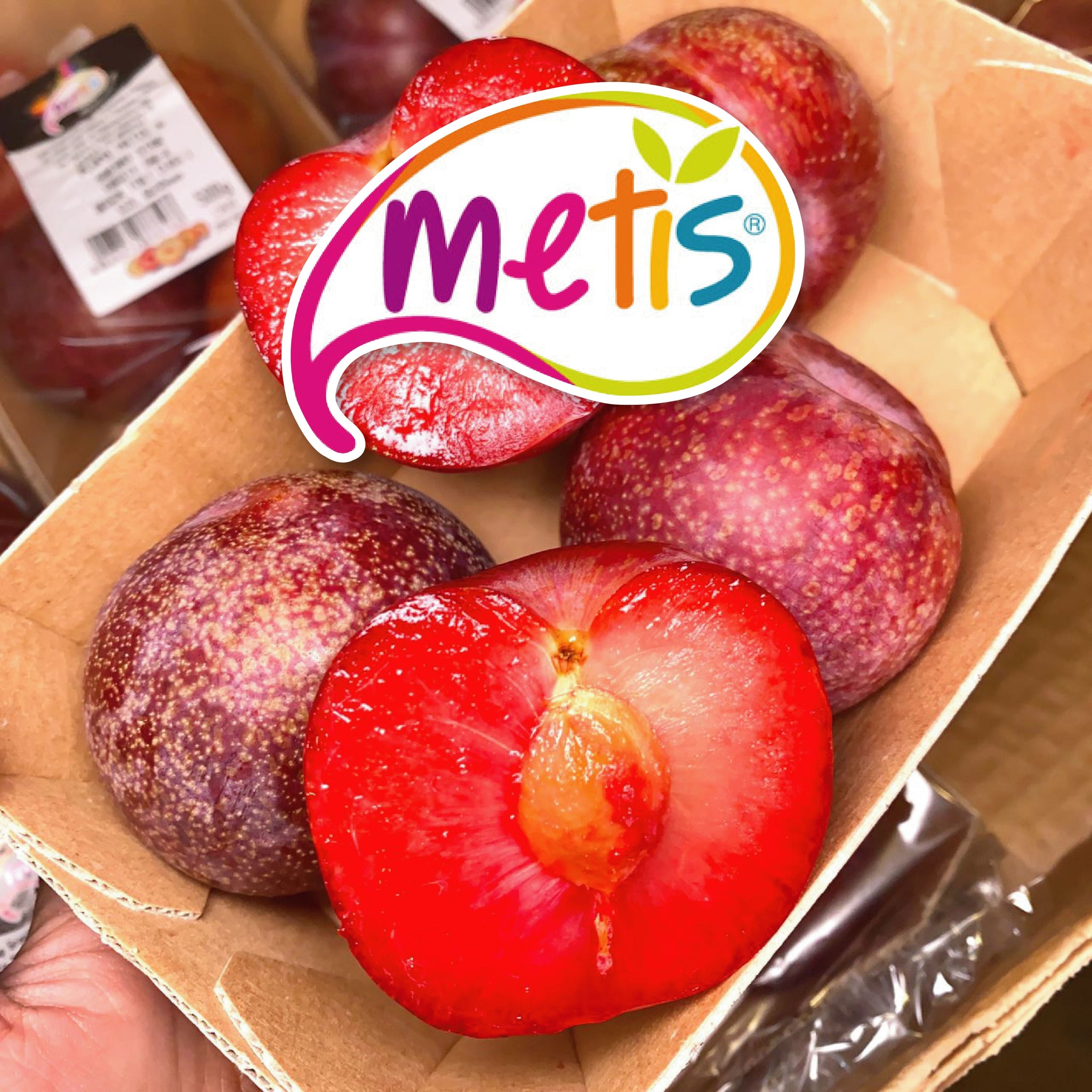 Italy Metis Plum [500G/1Pack] – MBG Fruit Shop