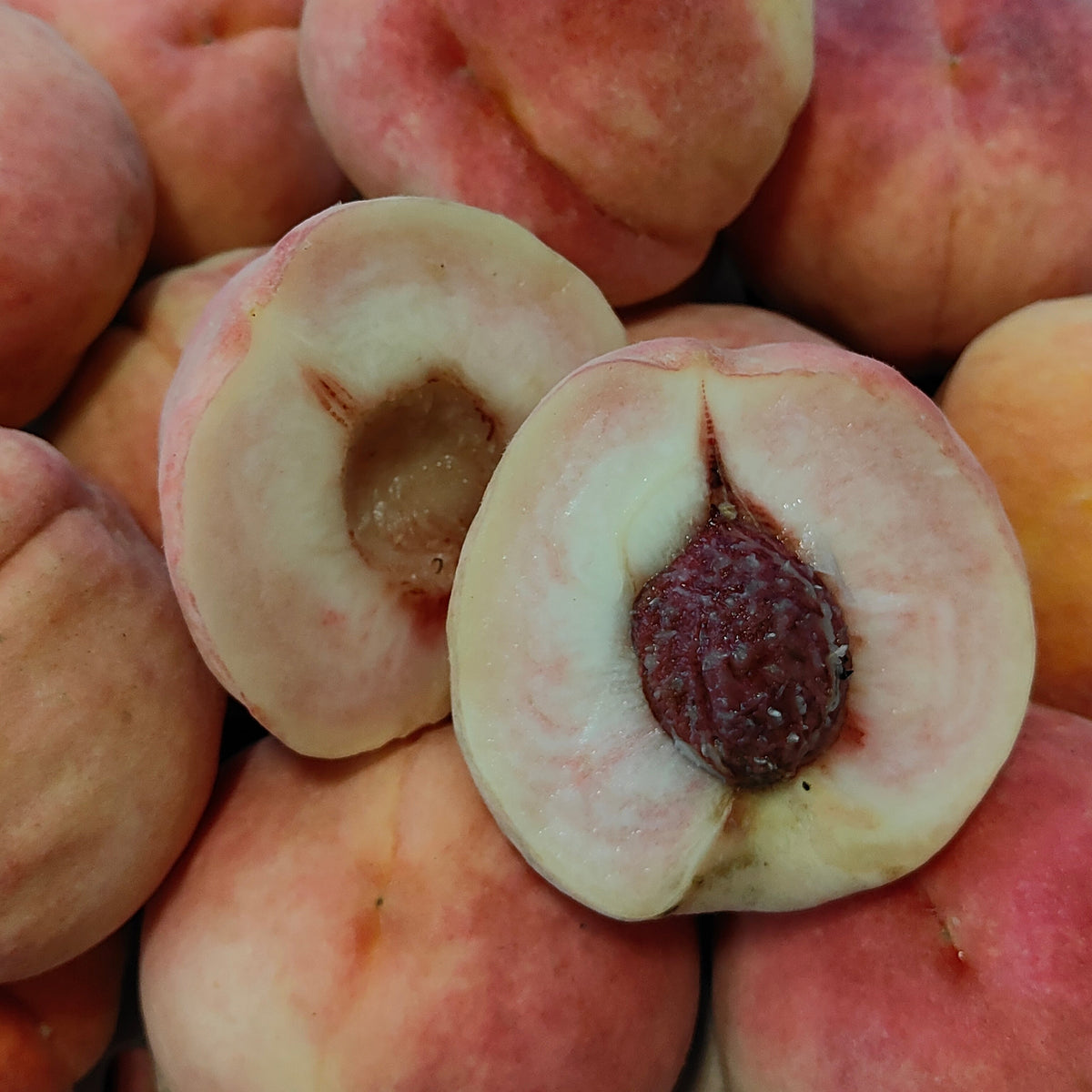 China Peach (4 Pcs) – MBG Fruit Shop