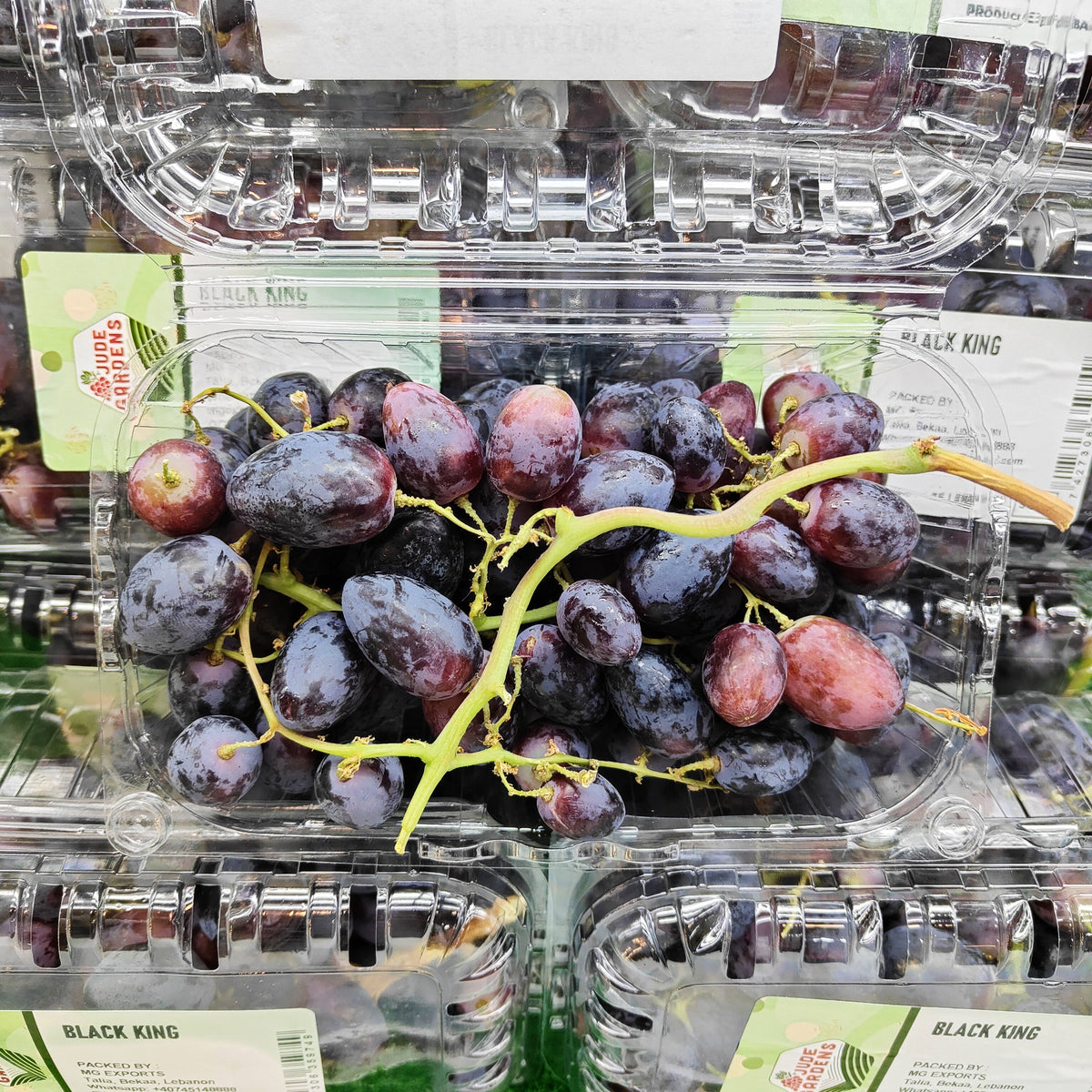 Lebanon Black King Grapes [500G/Pack] – MBG Fruit Shop