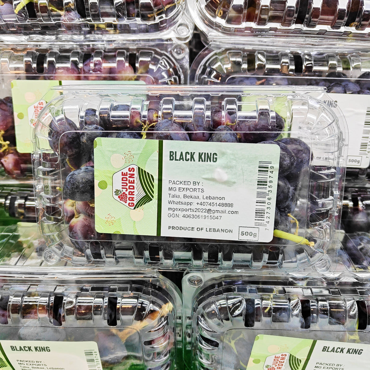 Lebanon Black King Grapes [500G/Pack] – MBG Fruit Shop