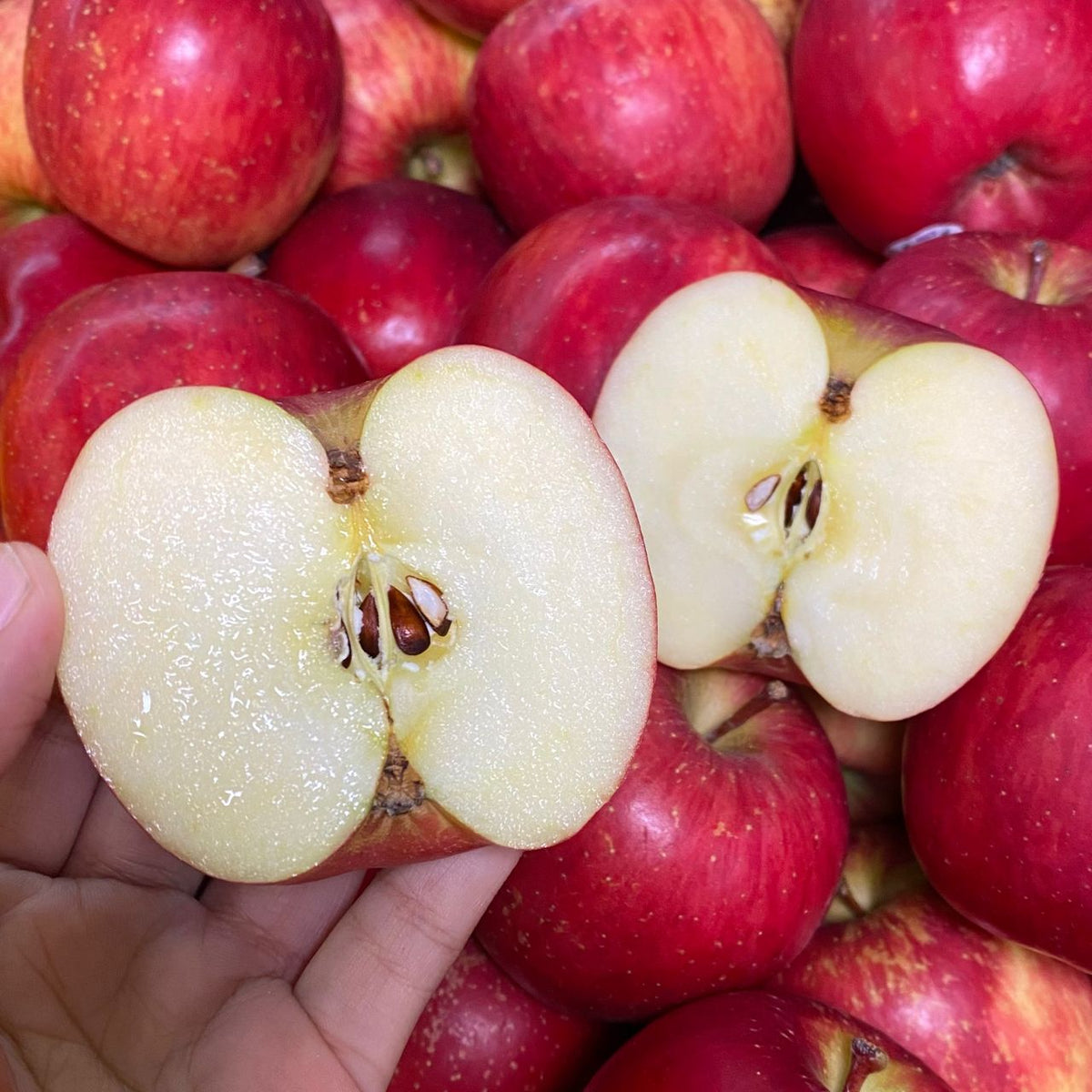 New Zealand Diva Red Apple – MBG Fruit Shop