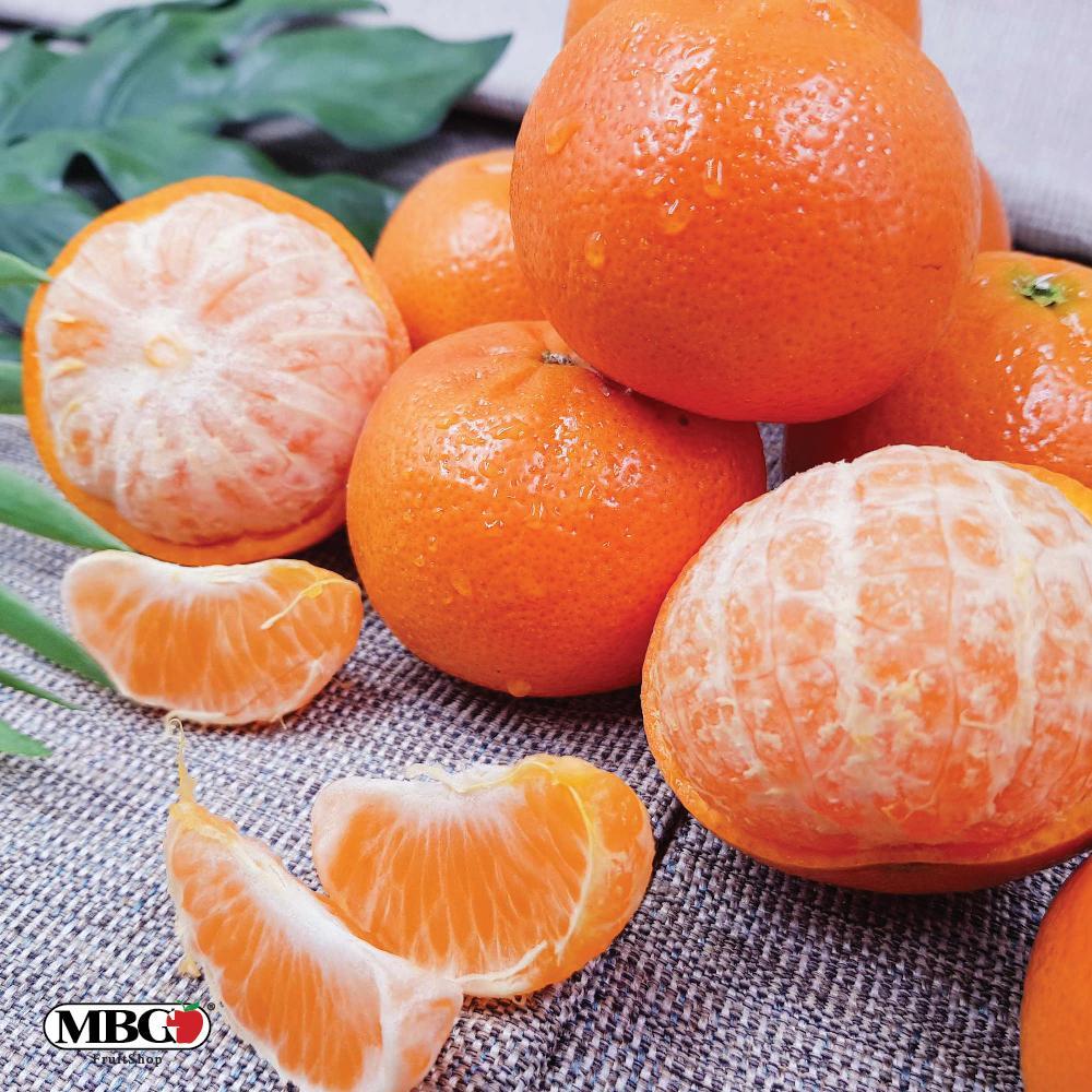 South Africa Nadorcott Mandarin [1KG/Pack] – MBG Fruit Shop