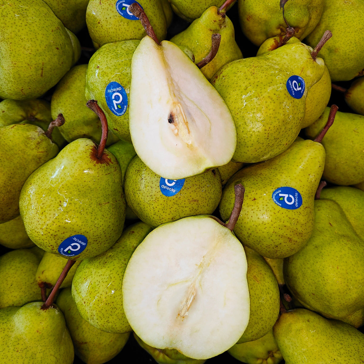 South Africa Packham Pear (M) [4 Pcs] – MBG Fruit Shop