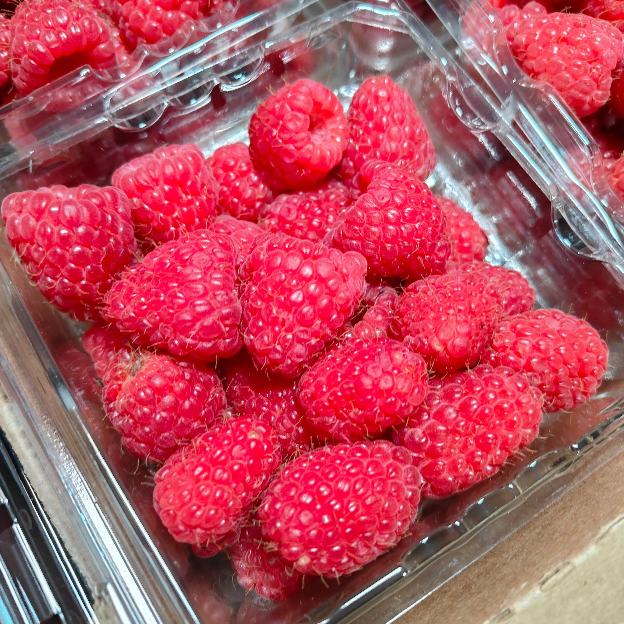 USA Raspberries (1 Pack) (170G/Pack) – MBG Fruit Shop