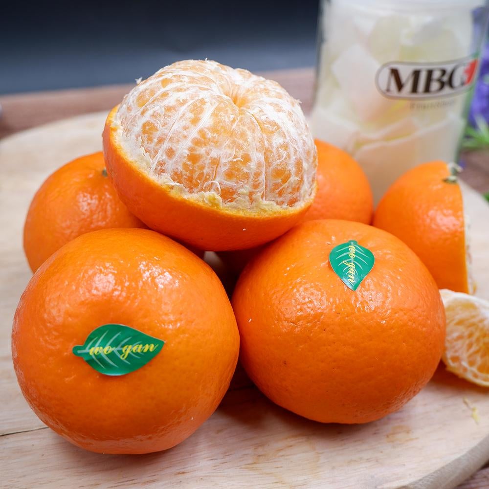 China Orah Orange – MBG Fruit Shop