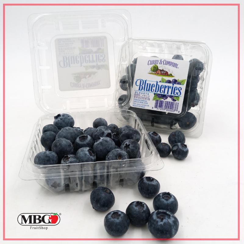 Mexico Blueberry [125g/Pack] – MBG Fruit Shop