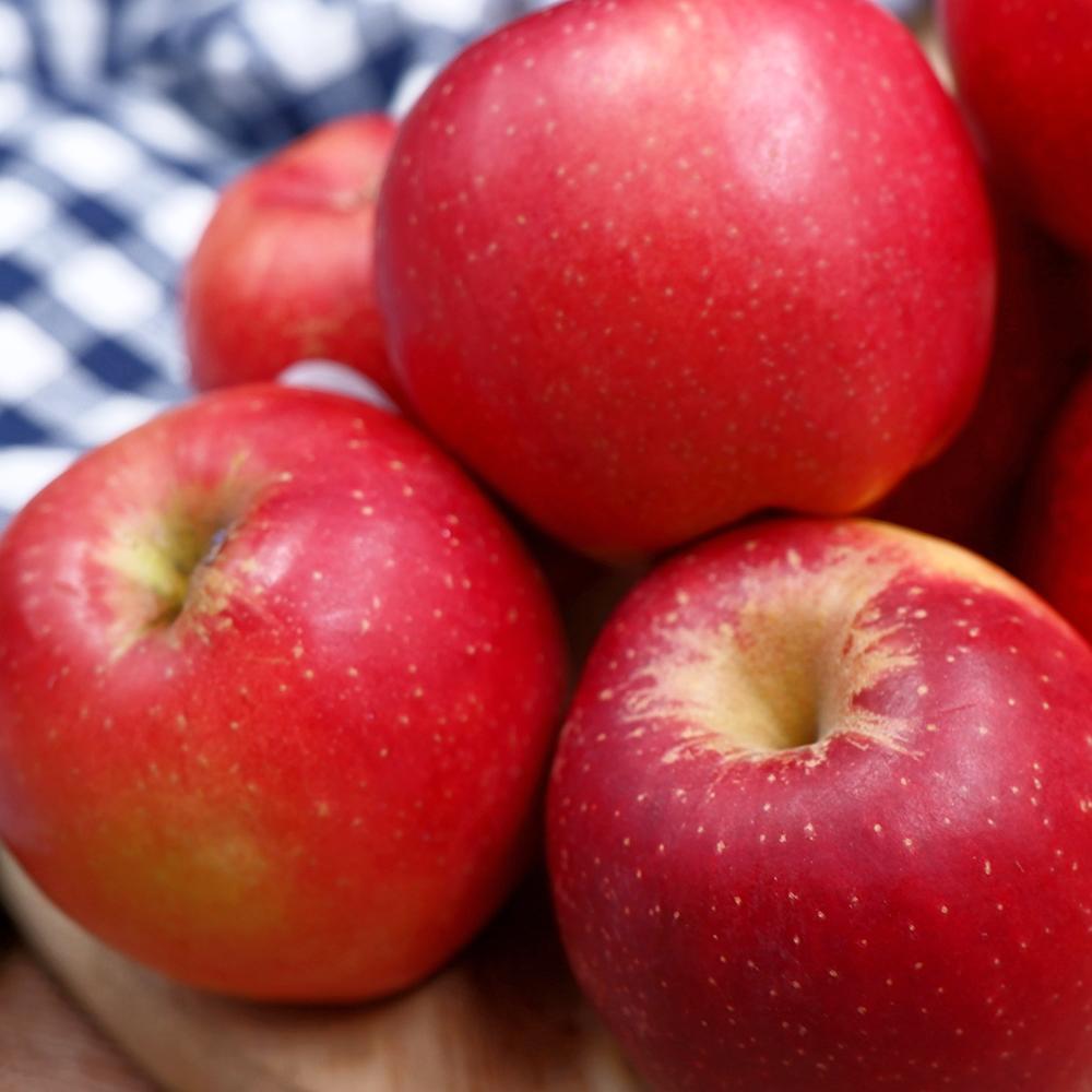 New Zealand Queen Apple (S) – MBG Fruit Shop