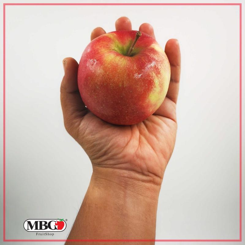 Poland Red Prince Apple (L) – MBG Fruit Shop