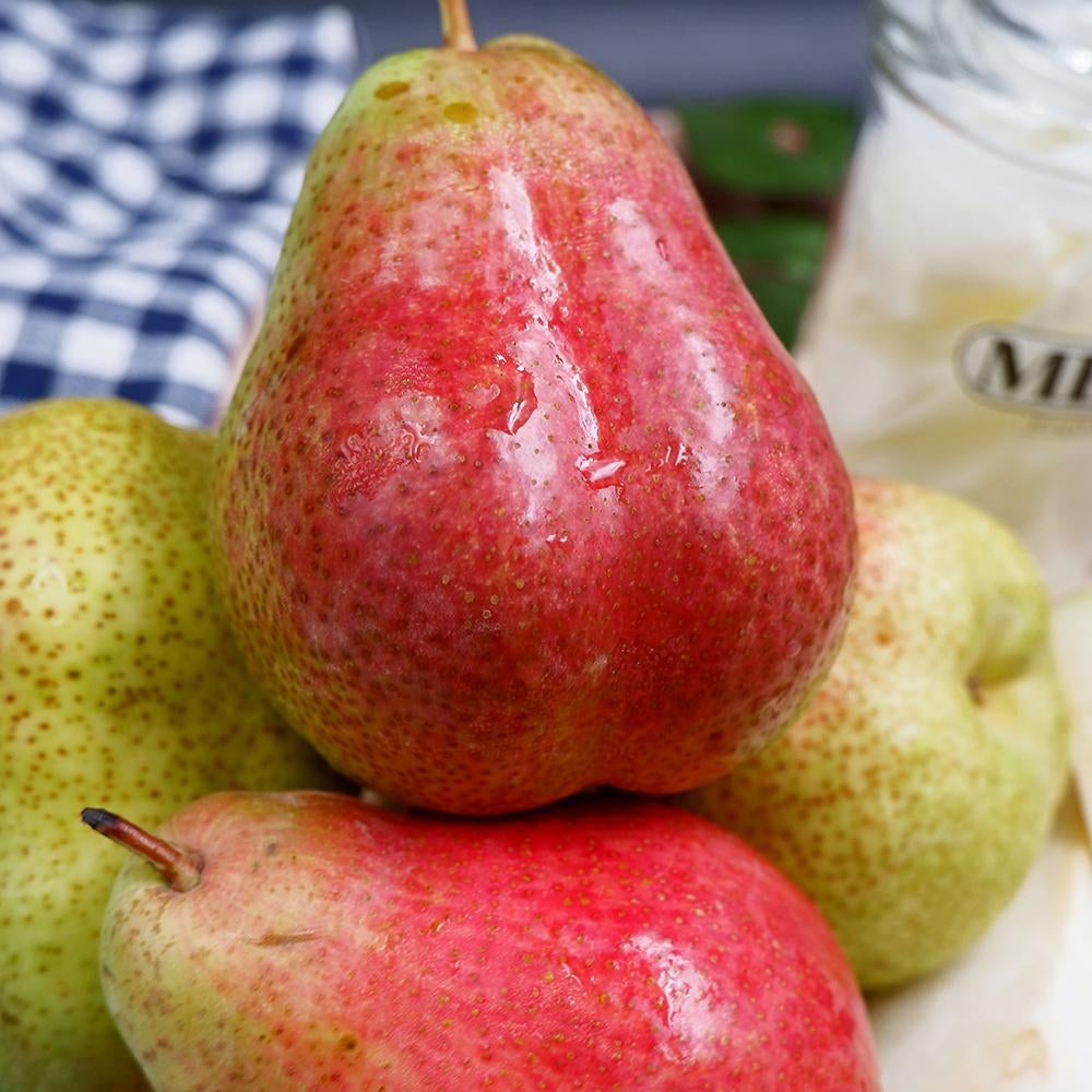 South Africa Forella Pear (L) – MBG Fruit Shop