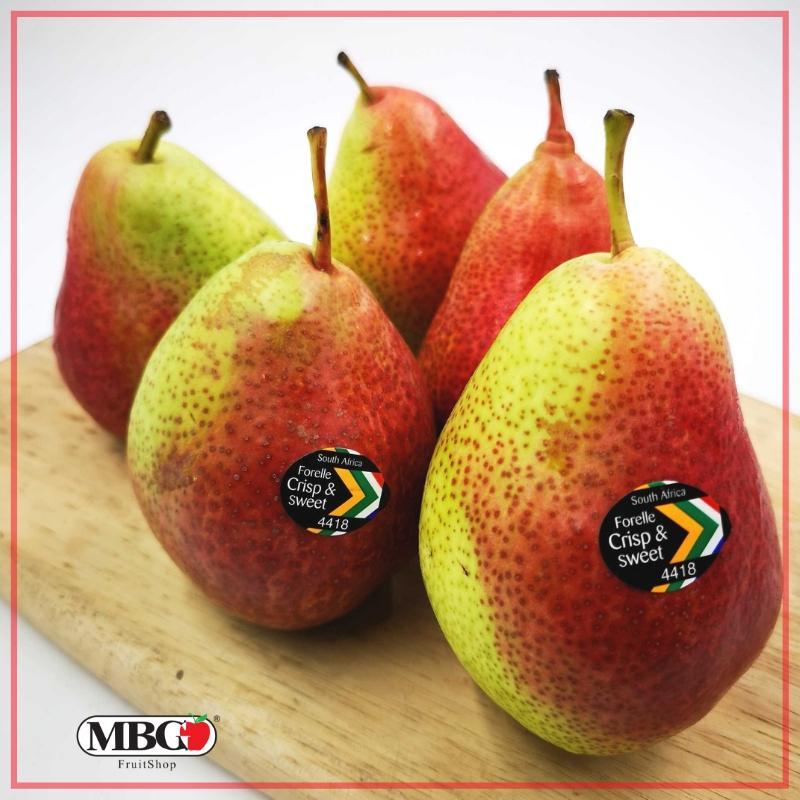 South Africa Forella Pear (L) – MBG Fruit Shop