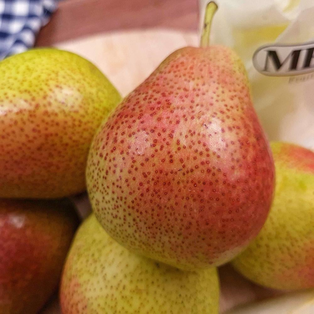 South Africa Forella Pear (S) – MBG Fruit Shop