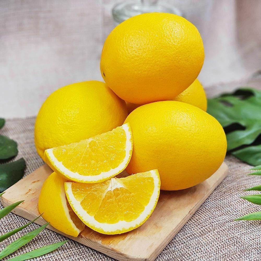 South Africa Orange Navel (M) – MBG Fruit Shop