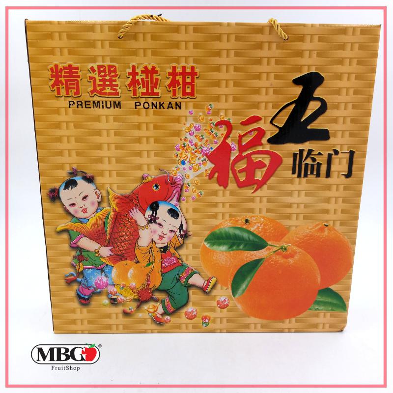 CNY19 Wu Fu Lin Men Mandarin XL Gift Box [16Pcs/Pack] – MBG Fruit Shop
