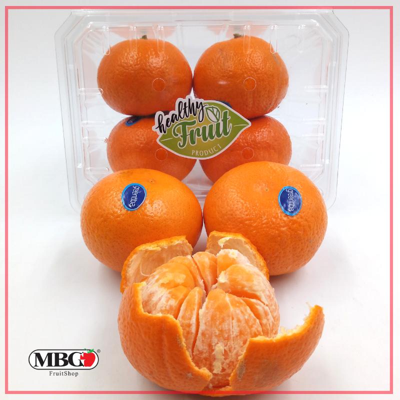 Egypt Murcott Tangerine [4Pcs/Pack] – MBG Fruit Shop