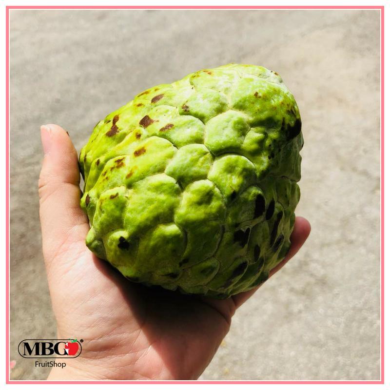 Malaysia Buah Nona / Custard Apple – MBG Fruit Shop