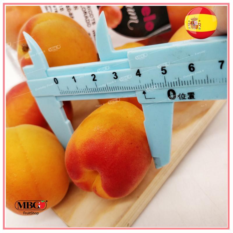 Spain Apricot (10pcs/Pack) – MBG Fruit Shop