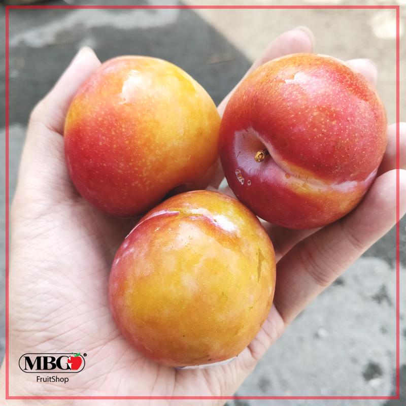 Turkey Amber Jewel Plum (6Pcs/Pack) – MBG Fruit Shop