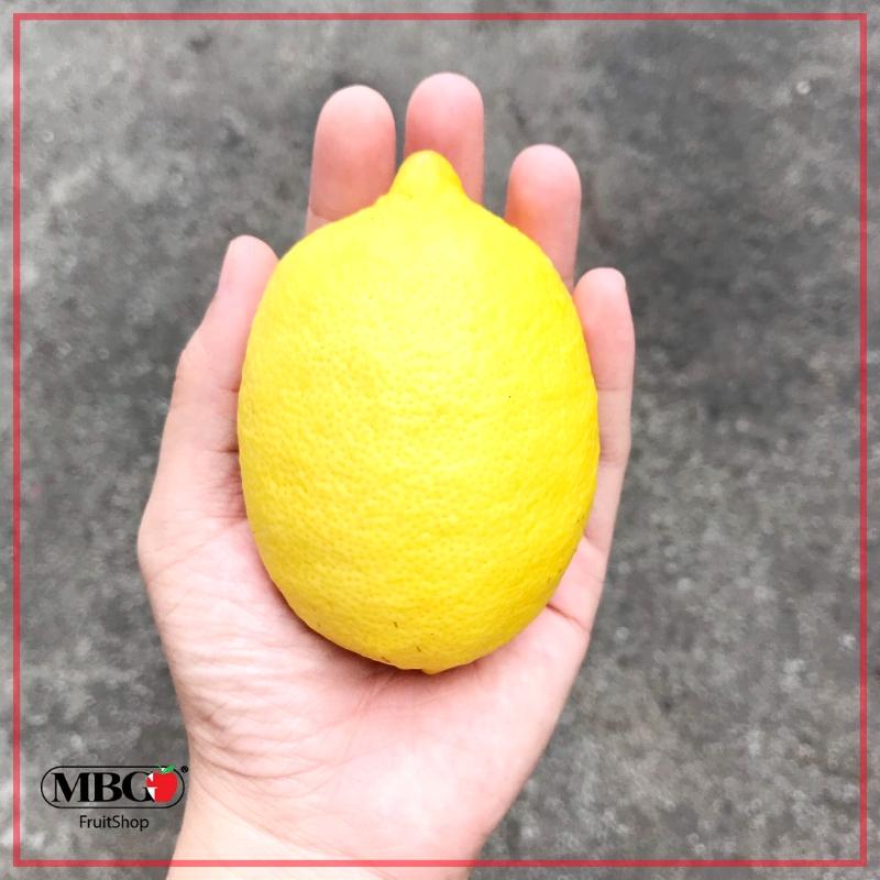Turkey Lemon (L) – MBG Fruit Shop